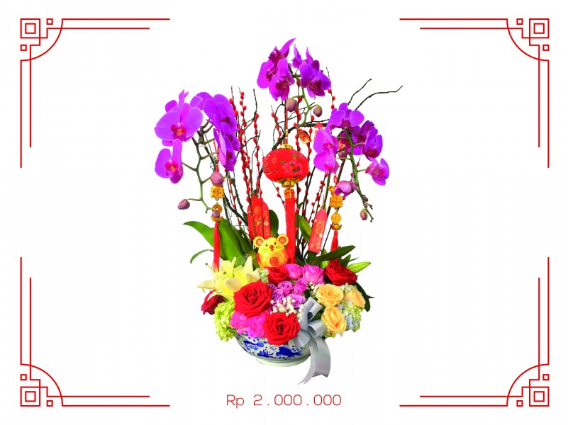 Bunga Sincia - Toko Bunga Bangkok